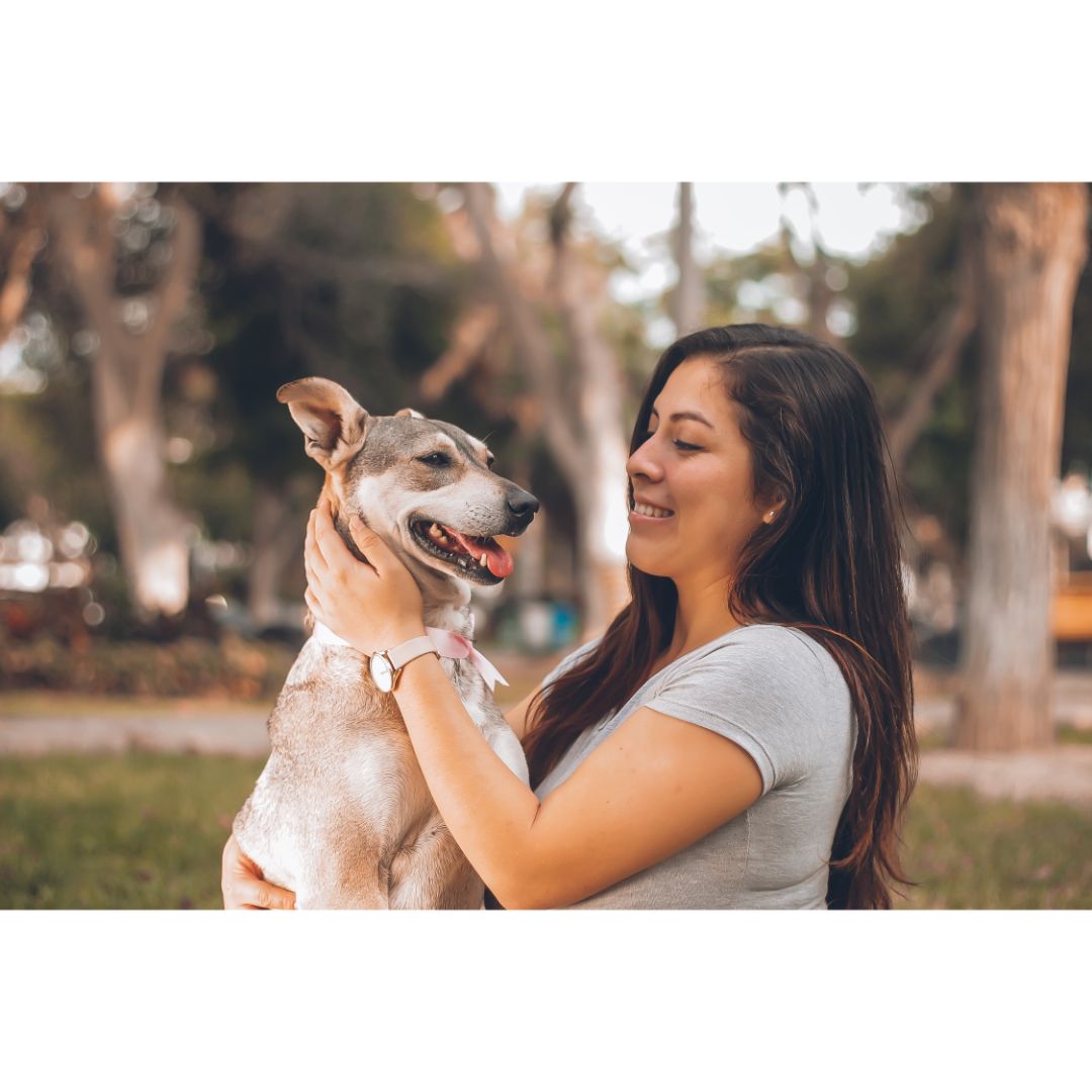 6 Tips To Be A Responsible Dog Owner – Oakland Animal Hospital